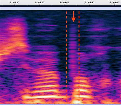 Removing Clicks In An Audio File With Torchaudio Pytorch Forums
