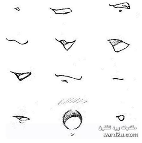 تعليم رسم الانمى Anime Drawing Page 6
