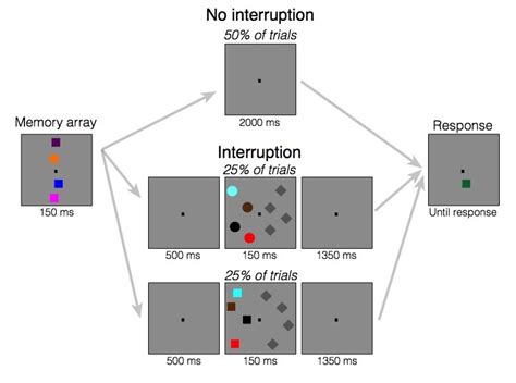 Task Design For Experiment 1 At The Start Of Each Trial The Memory