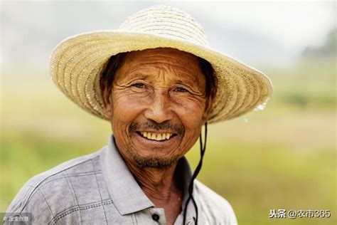 我只是一個農民！ 每日頭條