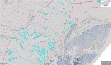 Qupath Script Command To Draw Polygon Annotation From Points Image Analysis Imagesc Forum