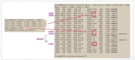 【linux进程控制】三、进程等待linux进程控制第1关进程等待 Csdn博客