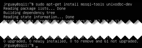 Trying Out Sql Server On Linux Csw Solutions Blog