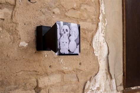 Del Amor Y El Cráneo Sofía Alemán