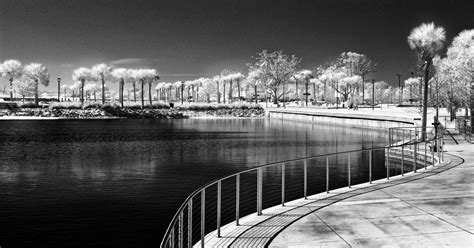 배경 화면 반사 검정색과 흰색 도시 풍경 흑백 사진 하늘 구조 나무 건축물 시티 사진술 중심지 단색화 대도시 지역 지평선 식물 도심 밤