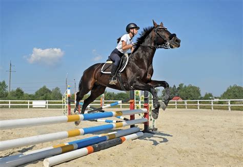 Premium Photo Girl Riding A Horse Jumps Over A Barrier On Training