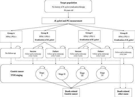 Structure Of The Gastric Cancer Screening Markov Model For Download Scientific Diagram