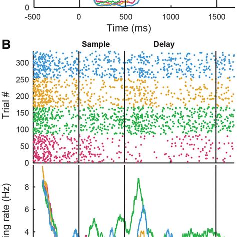 Selective Delay Activity In The Ncl A B Examples Of Delay Selective