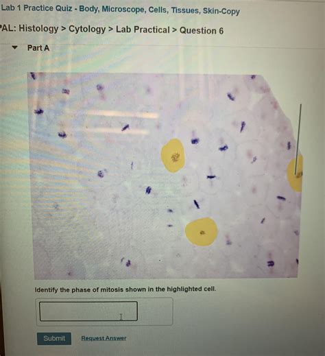 Solved Lab 1 Practice Quiz Body Microscope Cells Ti