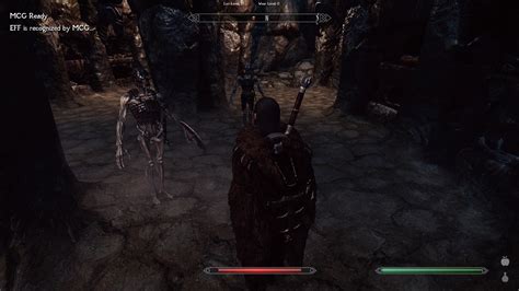 Slal Beastial Animations Not Working Skyrim Technical Support Loverslab