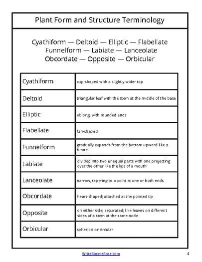 Plant Form And Structure Terminology And Cursive Copywork By Writebonnierose