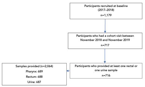 Mycoplasma Genitalium Among Gay Bisexual And Men Who Have Sex With Men Ccdr 49 11 12 Canada Ca