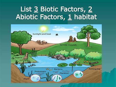 Ecology Ppt Download