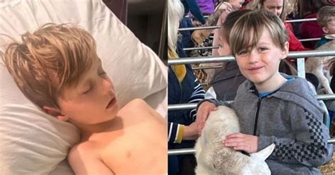 아기 염소 귀엽다며 함부로 만졌다간…이 병 걸립니다