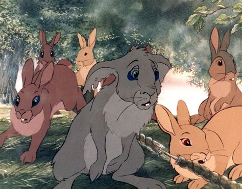 Watership Down Limited Edition 4k Ultra Hd Review Theaterbyte