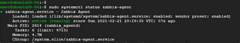 Install Zabbix Agent On Ubuntu