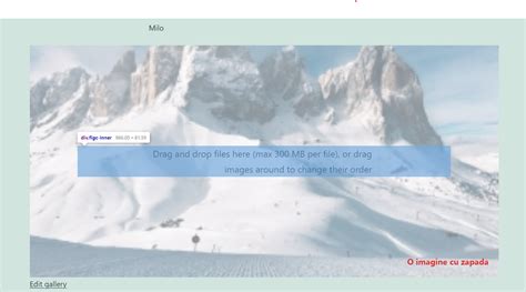 milo hover effect centered · issue 772 · wpchill modula lite · github