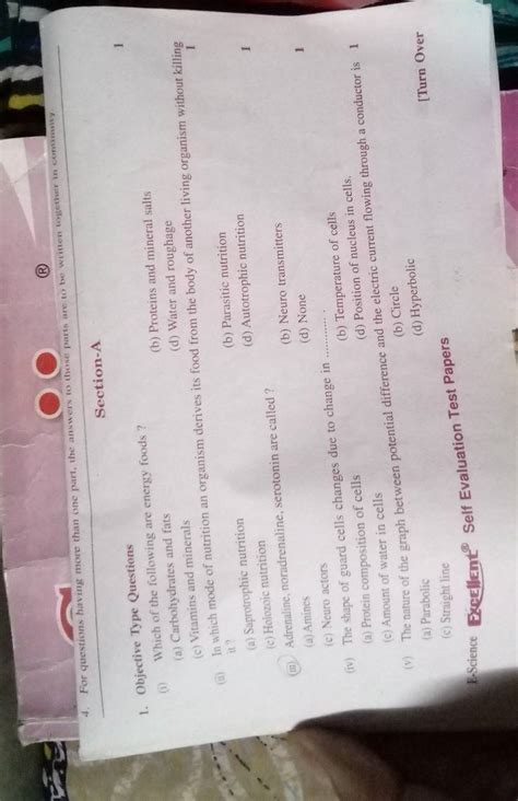 The Nature Of The Graph Between Potential Difference And The Electric Cu