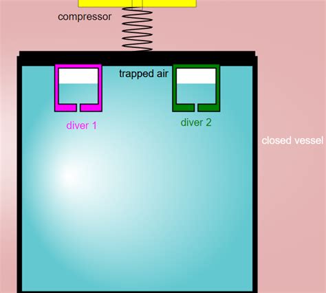 Comparison Of 2 Cartesian Divers Javascript Simulation Applet Html5