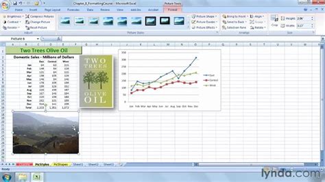 How To Apply Picture Styles In A Ms Excel 2007 Workbook Microsoft