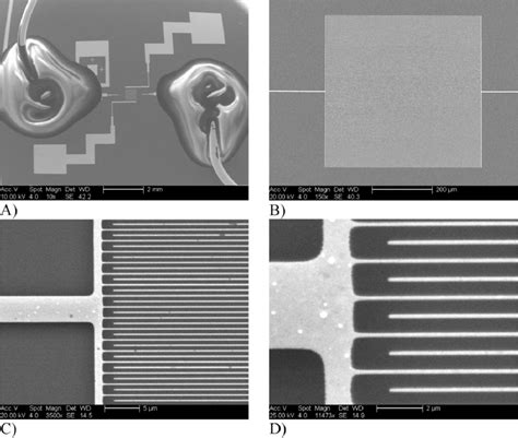 a sem image of interdigitated array 10Â magnification b sem image