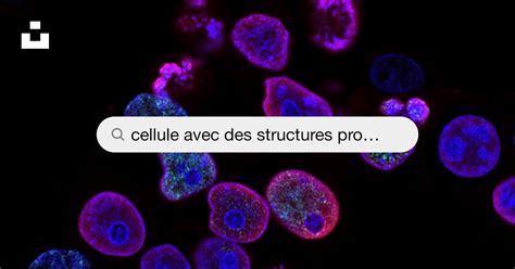 Cellule Avec Des Structures Protéique Photos Télécharger Des Images