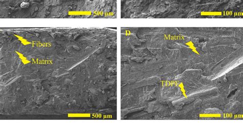 Sem Micrographs Of Tdpfpvcldpenbr C2 And C4 Composites At High