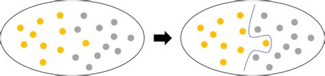 Neuron Classification Based On Machine Learning Download Scientific