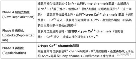心脏活动周期中心肌纤维细胞完整的动作电位是怎样的？ 知乎