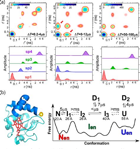 Figure 5 From Two Dimensional Fluorescence Lifetime Correlation Spectroscopy Concepts And