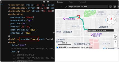 polyline组件使用showdir true后不显示方向 · issue 296 · uiwjs react amap · github