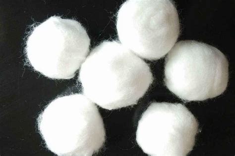 酒棉8号棉花种子简介生育期126天 新三农