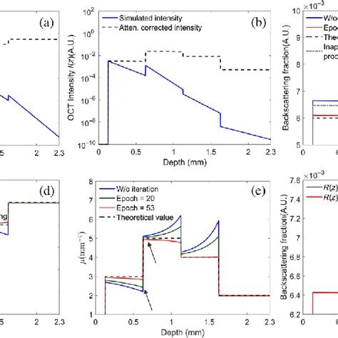 Numerical Simulation Result Of A B OCT Signal Intensity Of A Download Scientific Diagram