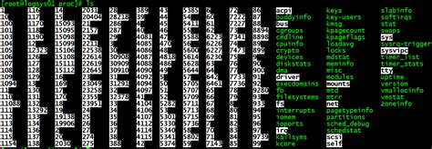 Linux下查看运行进程详细信息 哪是什么大佬 博客园