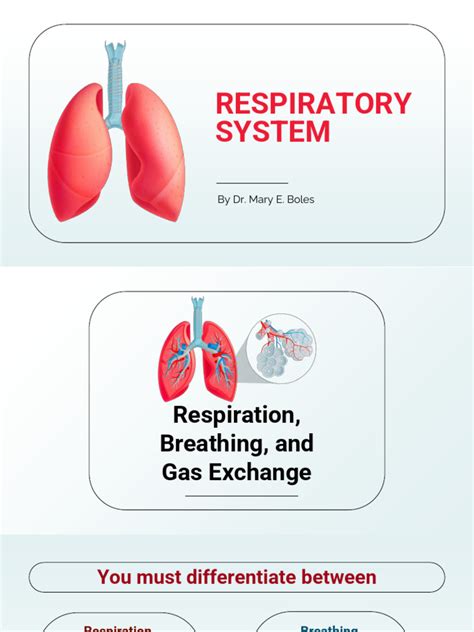 Respiratory System Grade 9 Pdf Lung Respiratory Tract