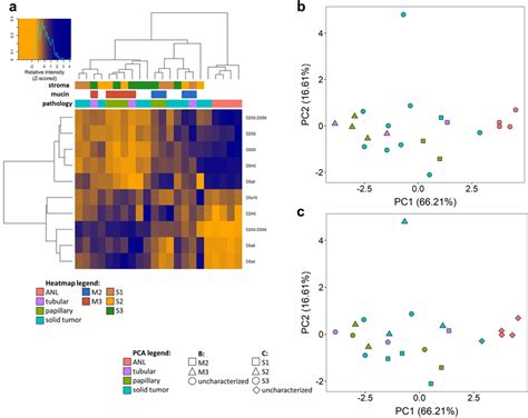 Heatmap Created After Hierarchical Clustering Generated For Cs And Hs