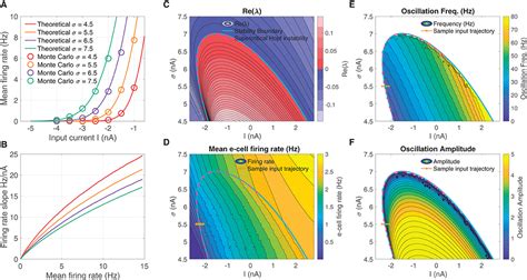 Frontiers Information Representation In An Oscillating Neural Field