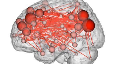 Brain Activity Map Can Predict Intelligence Wired Uk