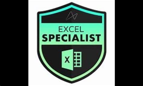 Do Excel Data Cleaning And Data Entry And Any Excel Work By