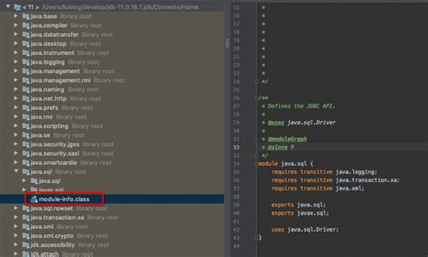 升级指南之JDK 新特性和AJDK 版本 Java 模块