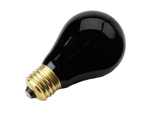 75w Blacklight Light Bulb Black 3 In Indoor Outdoor Decoration For Halloween Party City