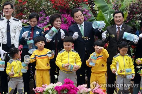 함평나비대축제 성공기원 연합뉴스