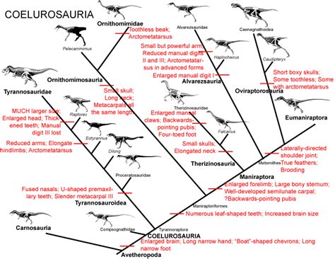 Palaeos Systematics Cladistics Cladistics And Paleontology