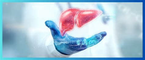 10 Reasons Why You Should Get A Liver Function Test Lft By Aaditi Ganguli Aug 2023 Medium
