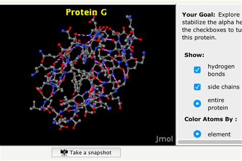 Cellulose Structuur 3d