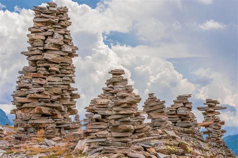 700 Free Cairns And Cairn Terrier Images Pixabay