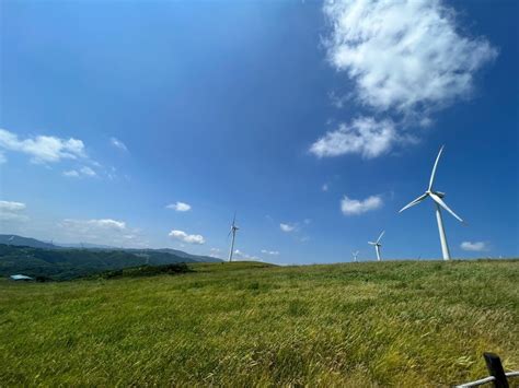 경기도 용인시 기흥구 언남동 비즈프로필