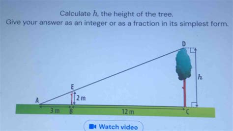 Solved Calculate H The Height Of The Tree Give Your Answer As An