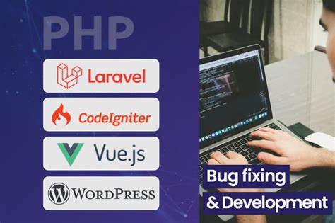 fix bugs develop and upgrade laravel php ci vuejs websites by fahad