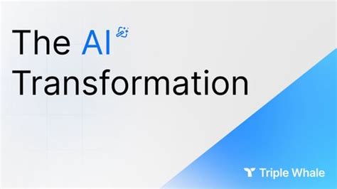 The Ai Transformation Issue 10 Triple Whale